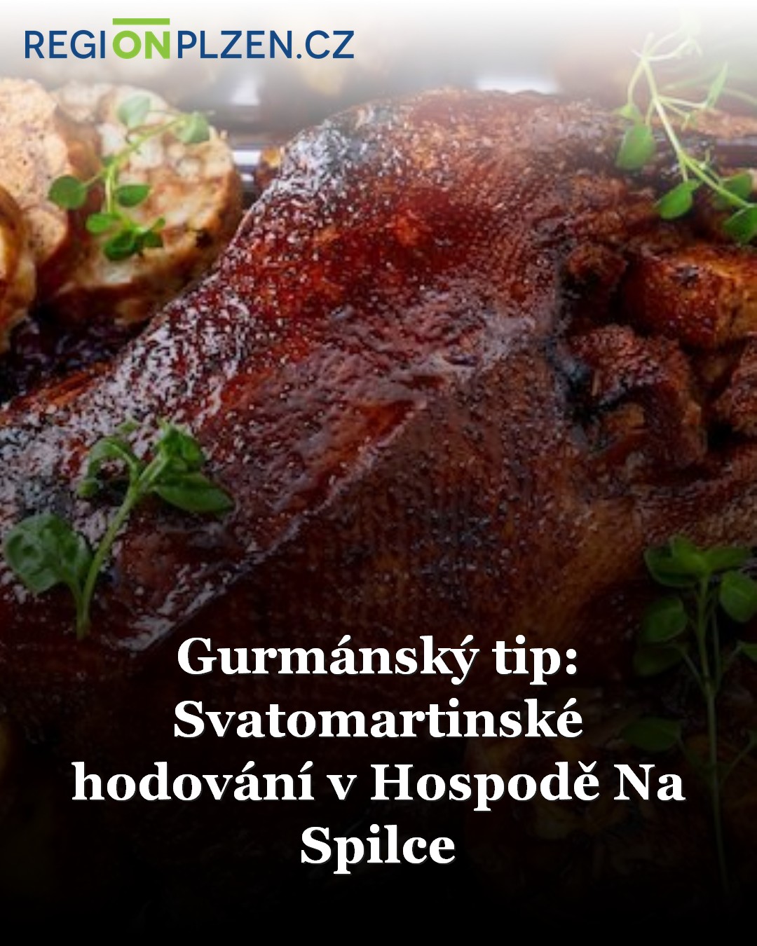 Gurmánský tip: Svatomartinské hodování v Hospodě Na Spilce / Zprávy ...
