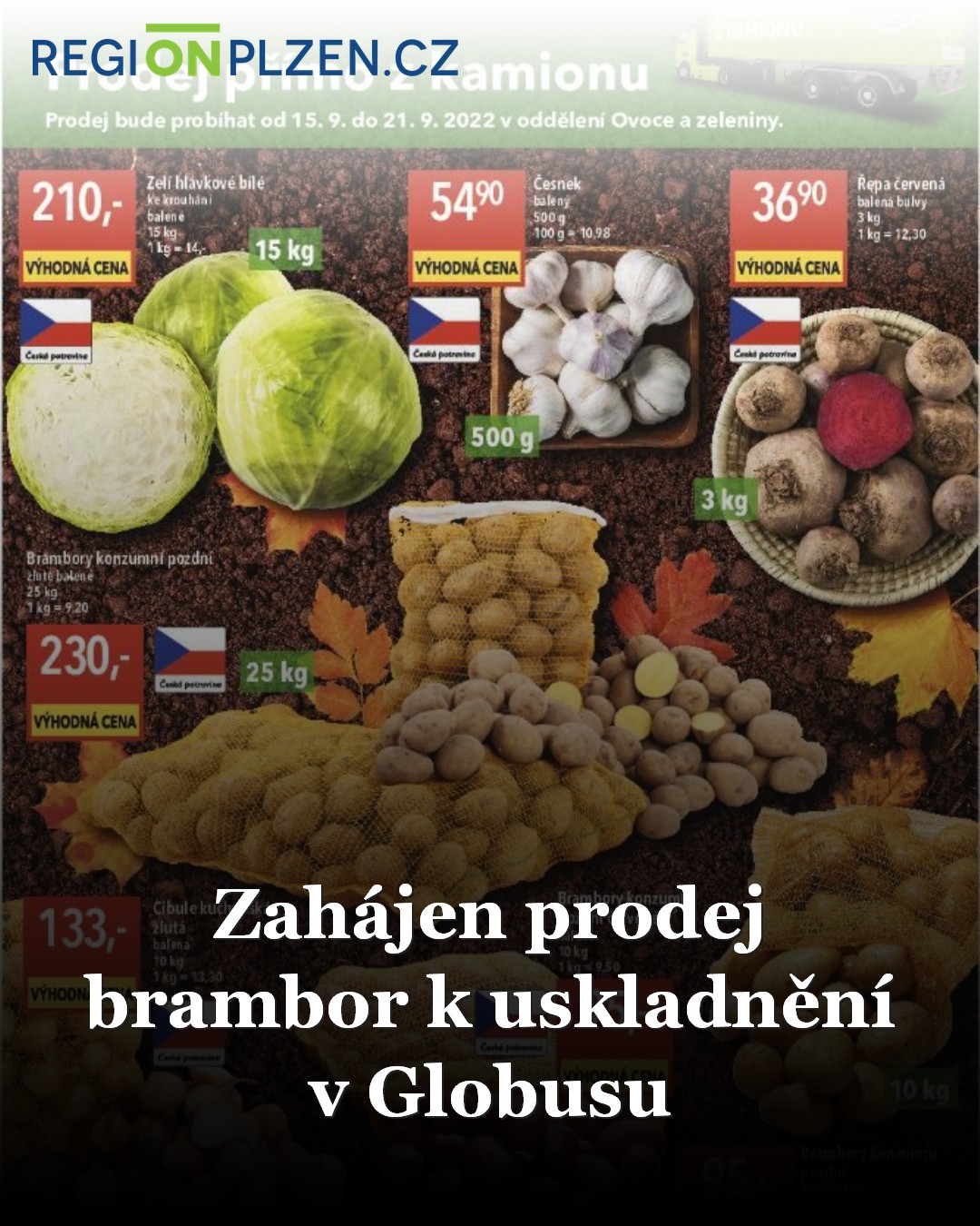 Zahájen prodej brambor k uskladnění v Globusu / BLOG - Plzeňský kraj ...